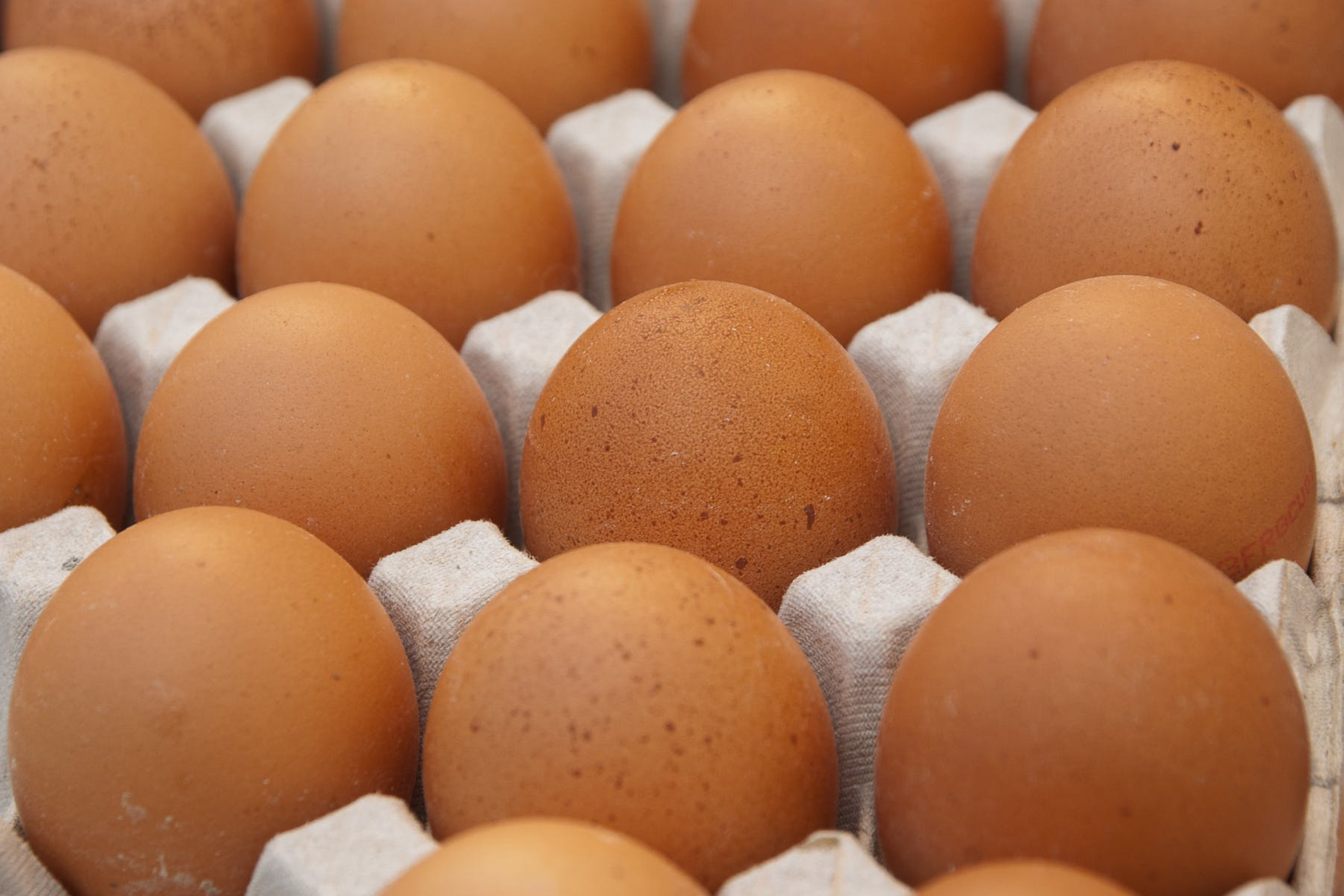 Cartón De Huevos 30 unidades – Supermercado Paotrolado